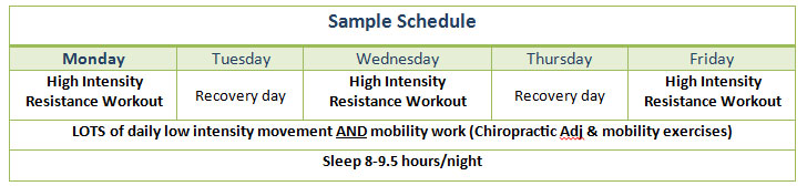 Functional Fitness - Hunter Chiropractic Wellness Centre